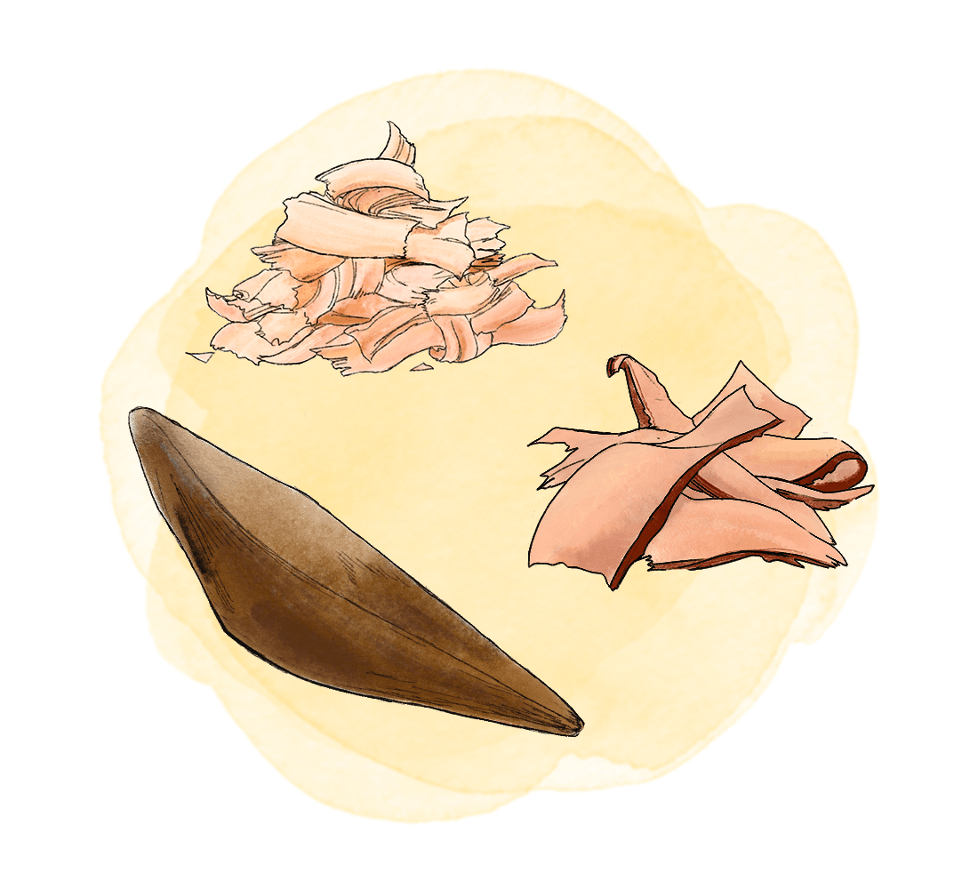 かつお節大百科 入門編｜ヤマキ かつお節プラス｜鰹節屋・だし屋、ヤマキ